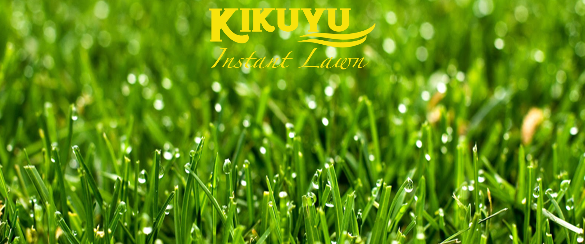 Kikuyu Instant Lawn | Kikuyu Enterprises