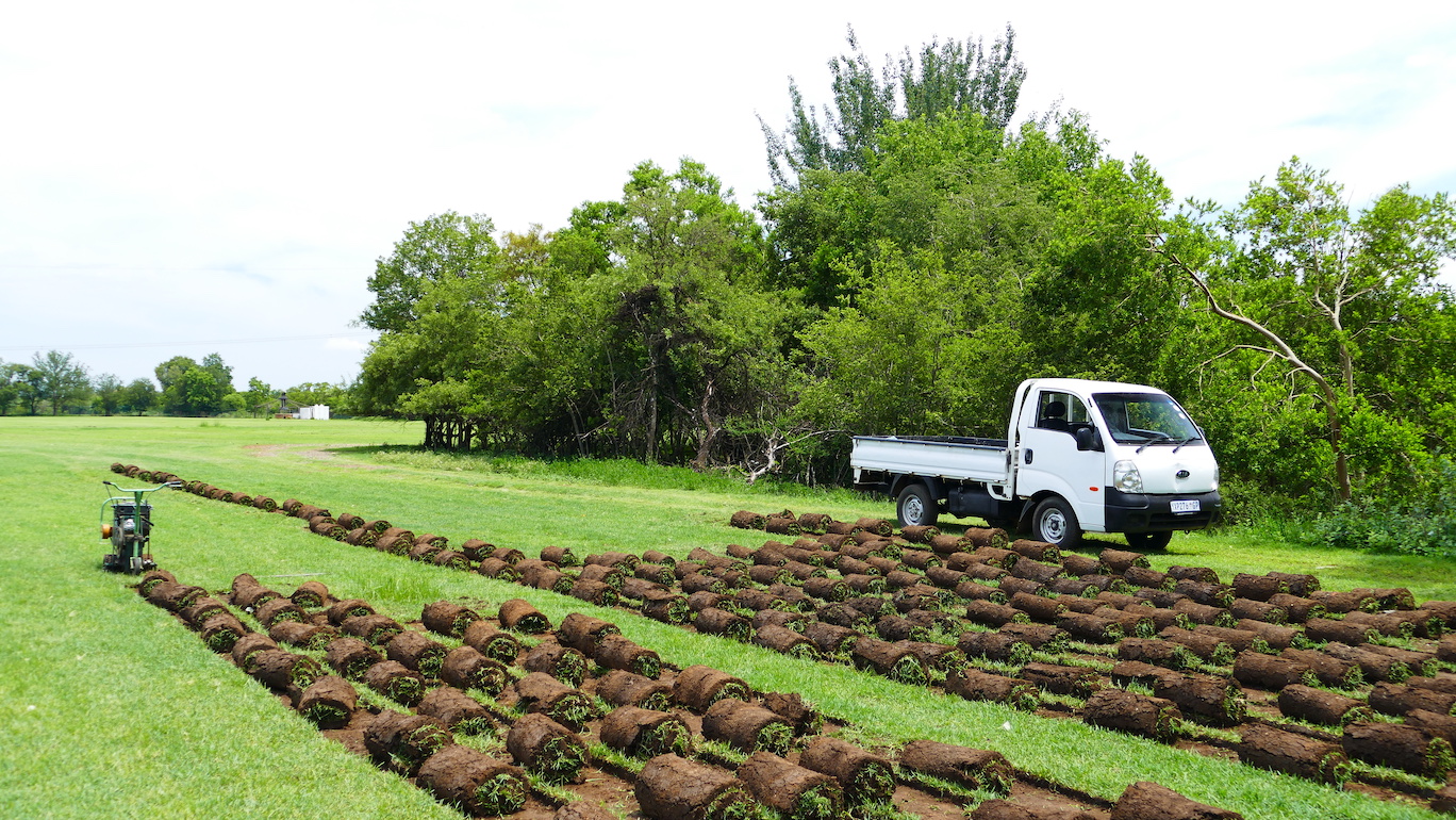 Kikuyu Instant Lawn | Kikuyu Enterprises